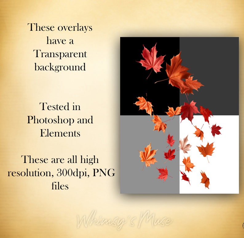 20 Foating Leaf Overlays, Leaf Overlays, Photo Overlay, Photo Editing ...