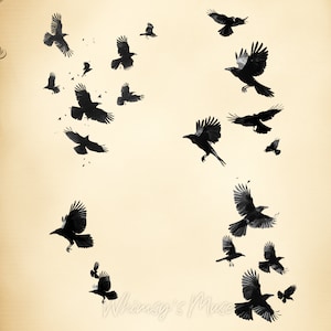 18 Black Crow Overlay, Floating Crow Overlays, Photo Overlay ...