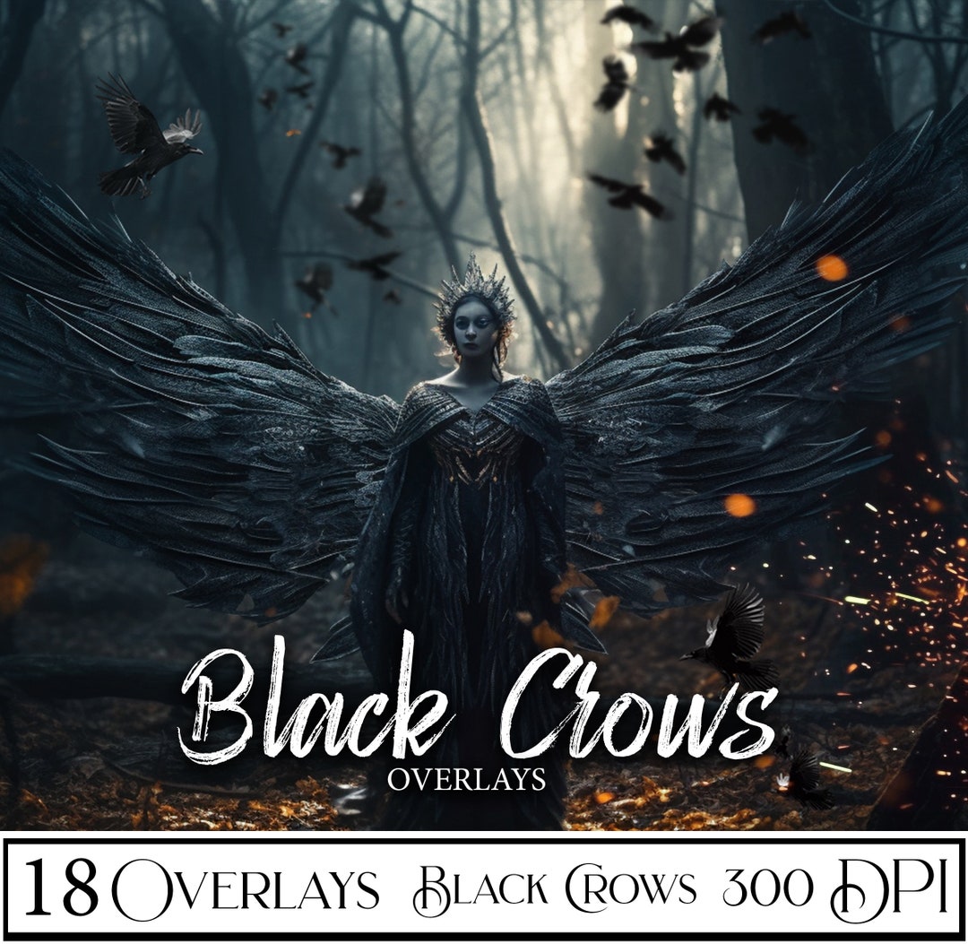 18 Black Crow Overlay, Floating Crow Overlays, Photo Overlay ...