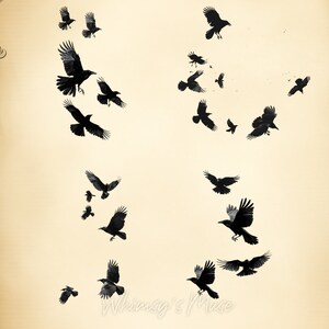 18 Black Crow Overlay, Floating Crow Overlays, Photo Overlay ...