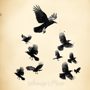 18 Black Crow Overlay, Floating Crow Overlays, Photo Overlay ...