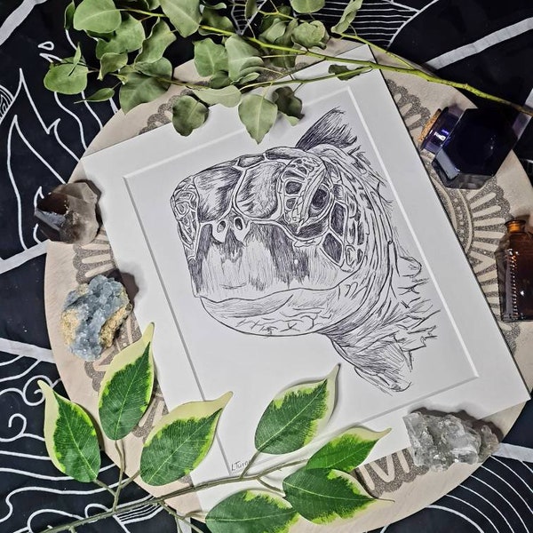 Turtle Drawing - Etsy UK
