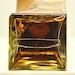 Elizabeth Arden Arden for Men Eau De Cologne 120ml 4 Fl. Oz. Planed ...