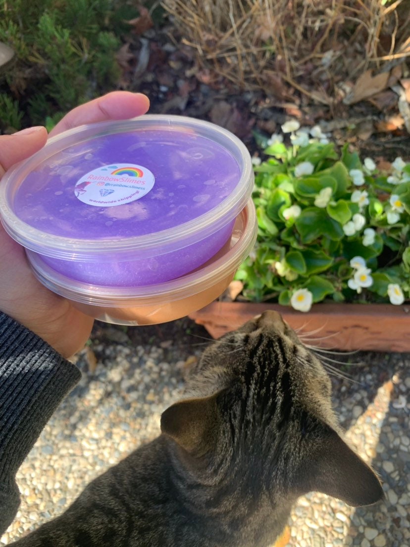 Peanut Butter and Grape Jelly Slime Duo | Etsy