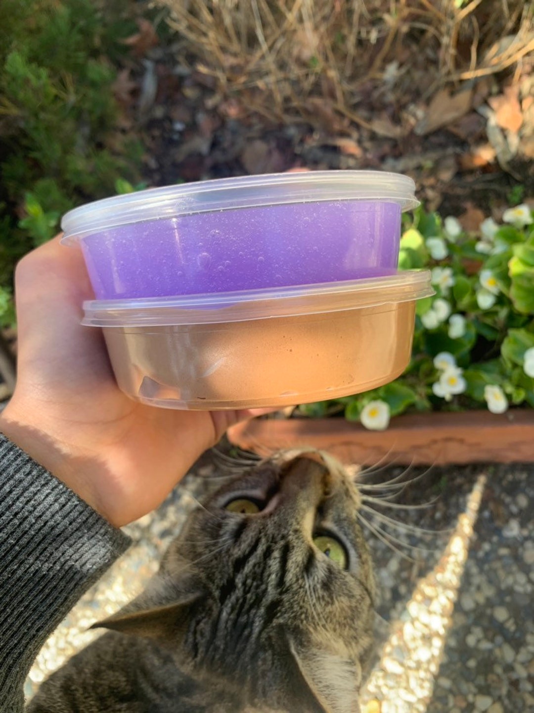 Peanut Butter and Grape Jelly Slime Duo - Etsy