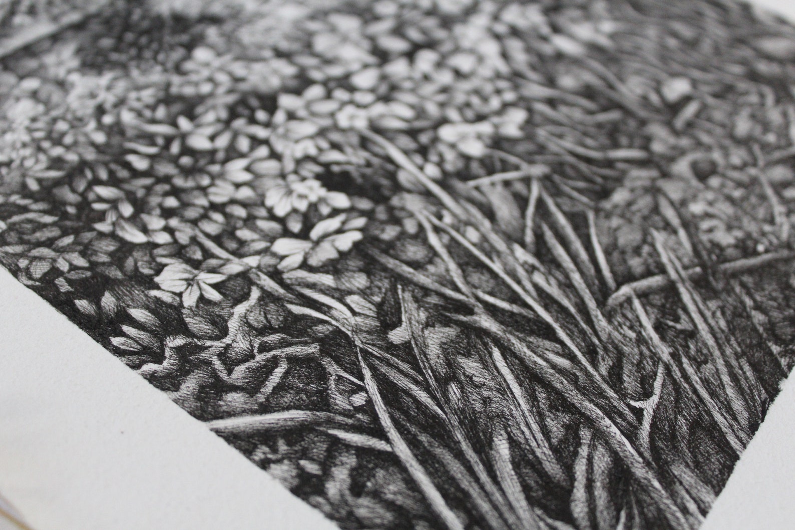 Original Forest Illustration Ink Drawing Fantasy Folklore - Etsy