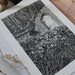 Original Forest Illustration Ink Drawing Fantasy Folklore Illustration ...