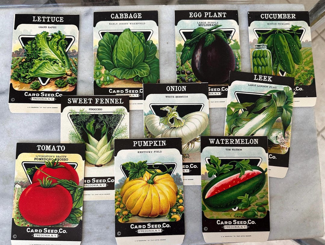 Vintage 1950's Vegetable Seed Packs EMPTY Lot 10 Beet Cabbage Onion ...