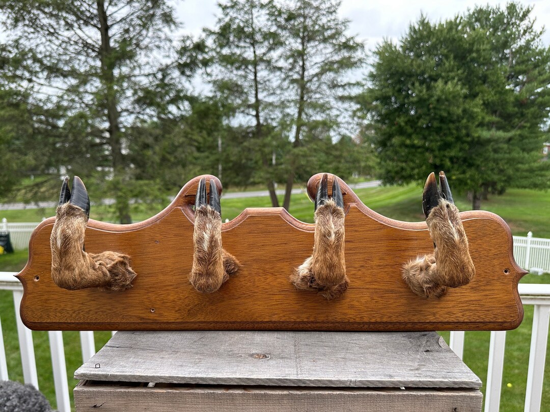 Vintage Lodge Cabin Decor Taxidermy Deer Coat Hat Rack Mounted on Wood ...