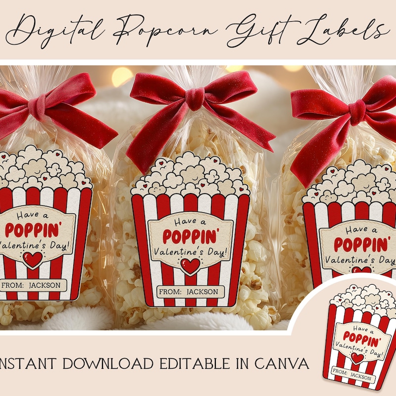 Valentine Popcorn Bags - Etsy UK