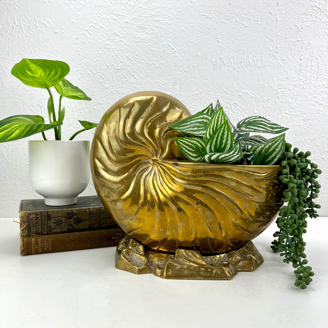 Large Brass Nautilus Shell Planter - Wine Bottle Chiller - Seashell ...