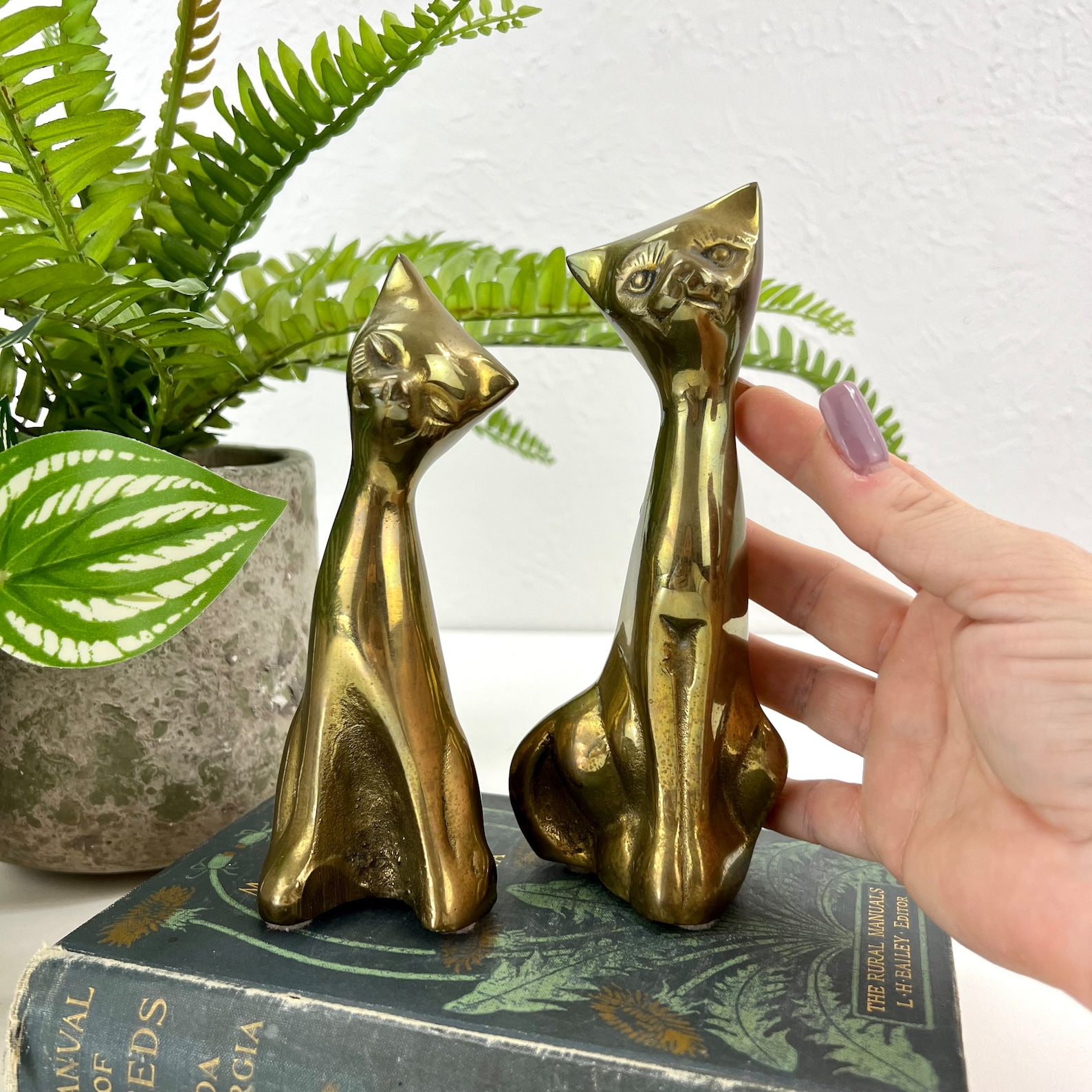 Pair of Mid Century Brass Cats - Kitten Figurines - Cat Lover Gift ...