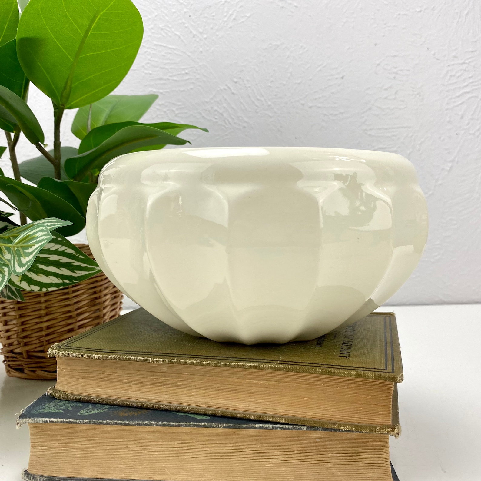 Ceramic Planter Cache Pot Creamy off White Mid Century - Etsy