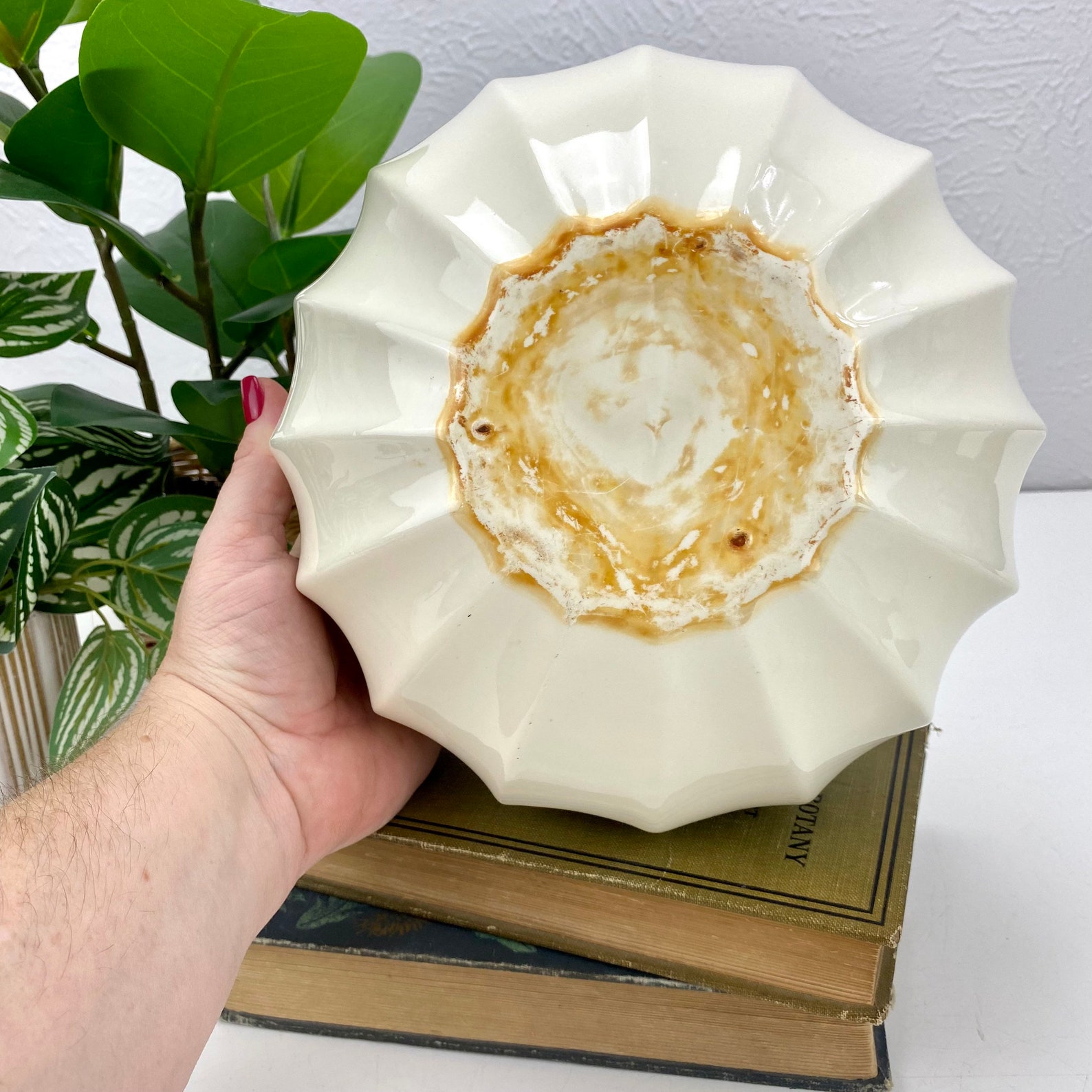 Ceramic Planter Cache Pot Creamy off White Mid Century - Etsy