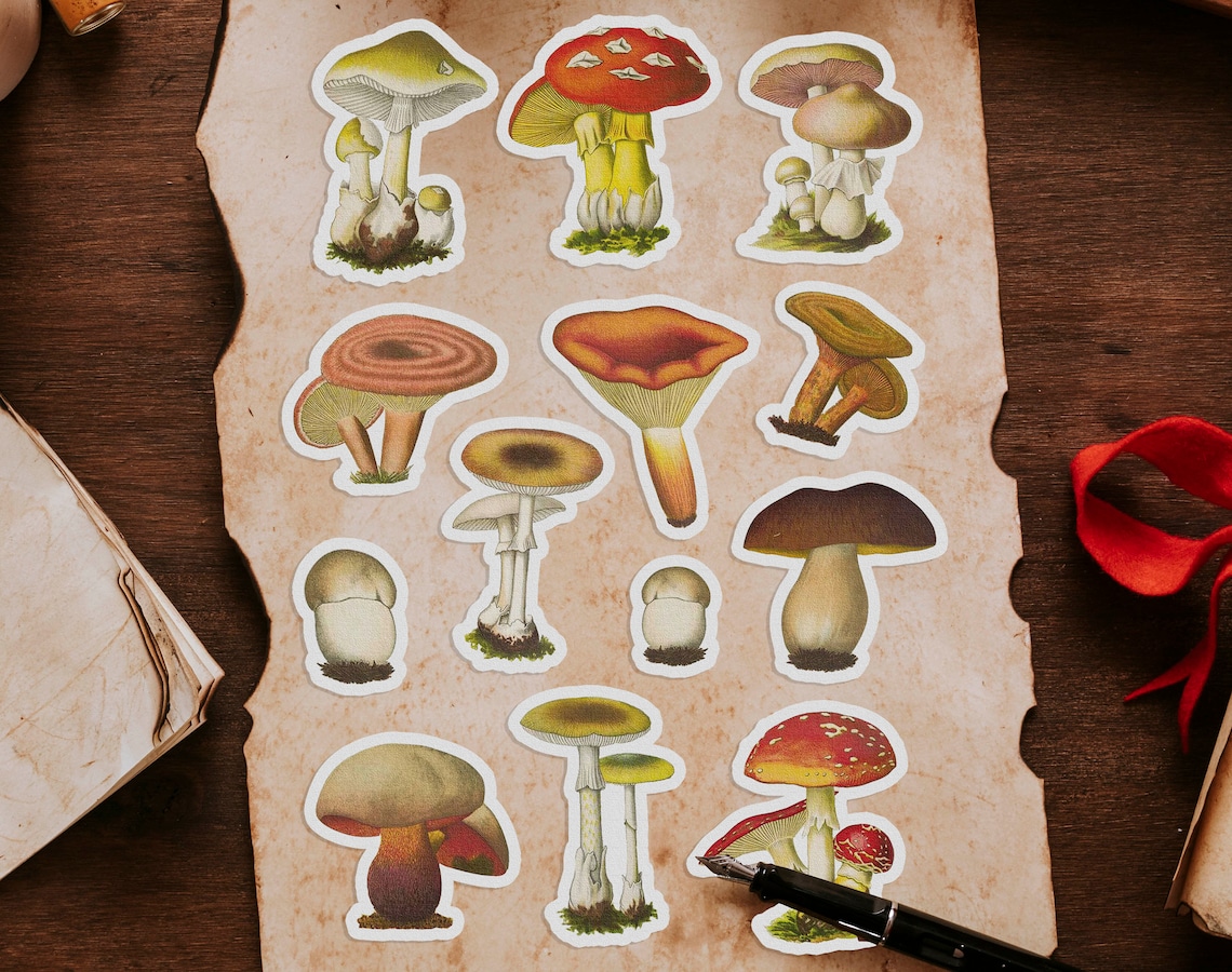 Mushroom Stickers Printable Funghi Die Cuts Instant Download ...