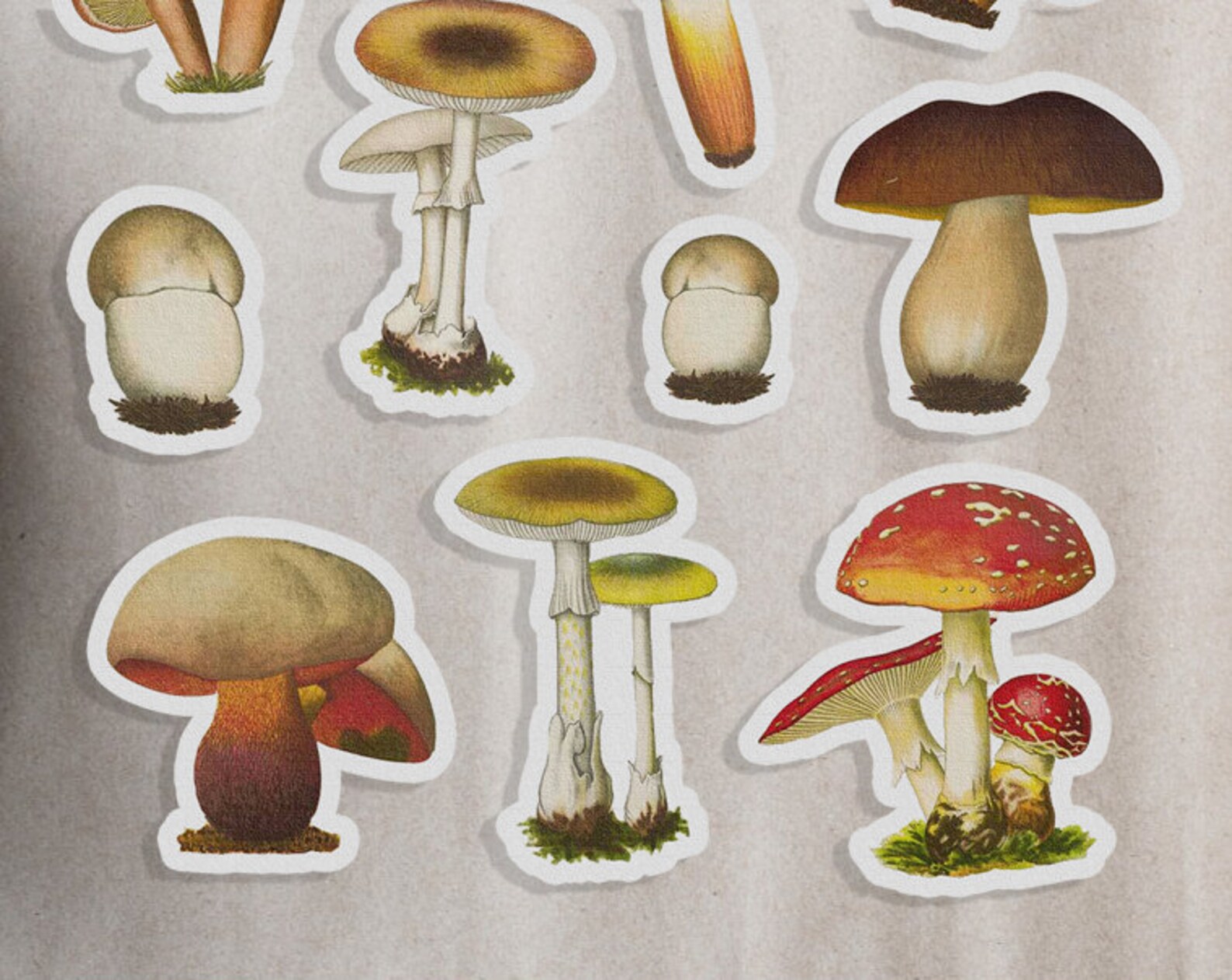 Mushroom Stickers Printable Funghi Die Cuts Instant Download ...