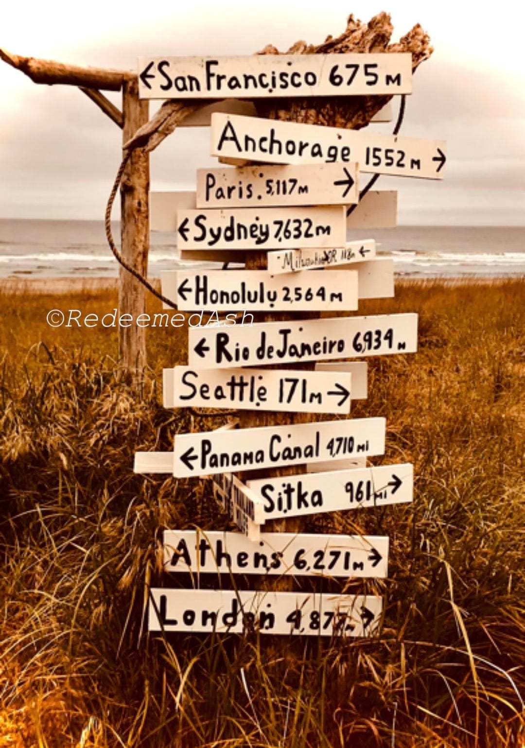 Framed World Traveler Sign Photo - Etsy