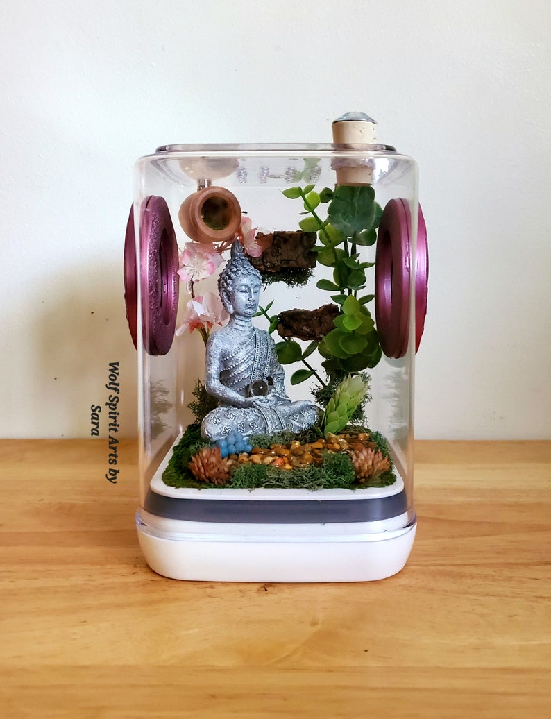 Made-to-order Medium Jumping Spider Enclosure, Jumping Spider Decor ...