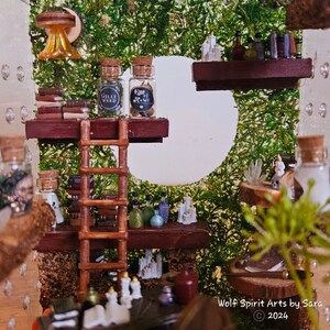 Made-to-order Wizard's Study Jumping Spider Enclosure,jumping Spider ...