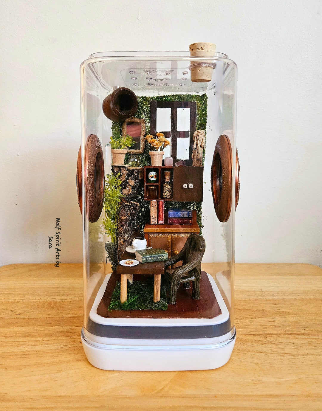 Made-to-order Cozy Cottage Jumping Spider Enclosure, Jumping Spider ...