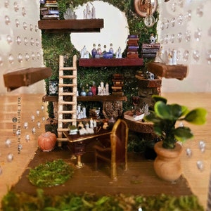 Made-to-order Wizard's Study Jumping Spider Enclosure,jumping Spider ...