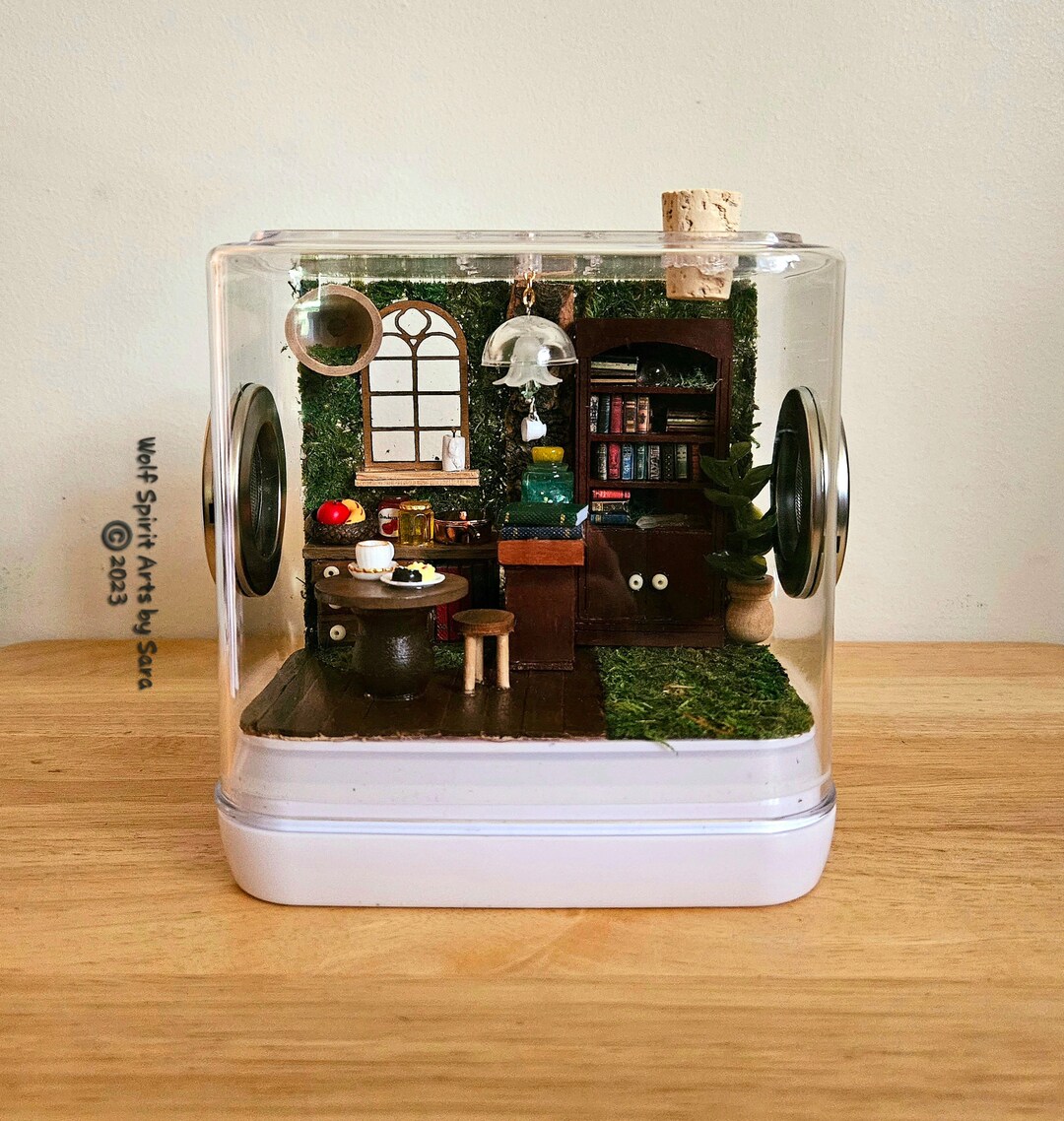 Made-to-order SPECIAL EDITION Cozy Cottage Jumping Spider Enclosure ...
