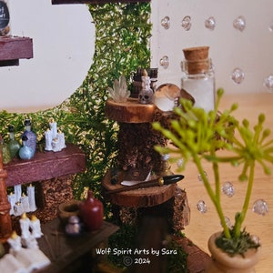 Made-to-order Wizard's Study Jumping Spider Enclosure,jumping Spider ...