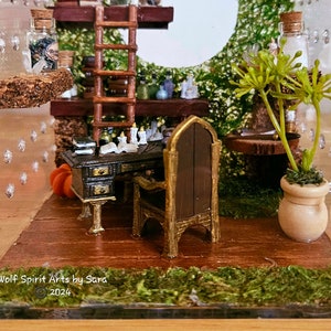 Made-to-order Wizard's Study Jumping Spider Enclosure,jumping Spider ...