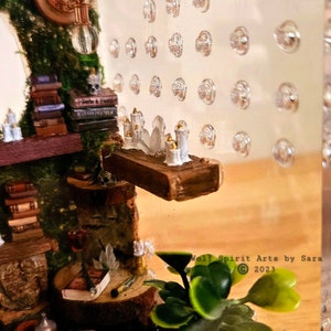 Made-to-order Wizard's Study Jumping Spider Enclosure,jumping Spider ...