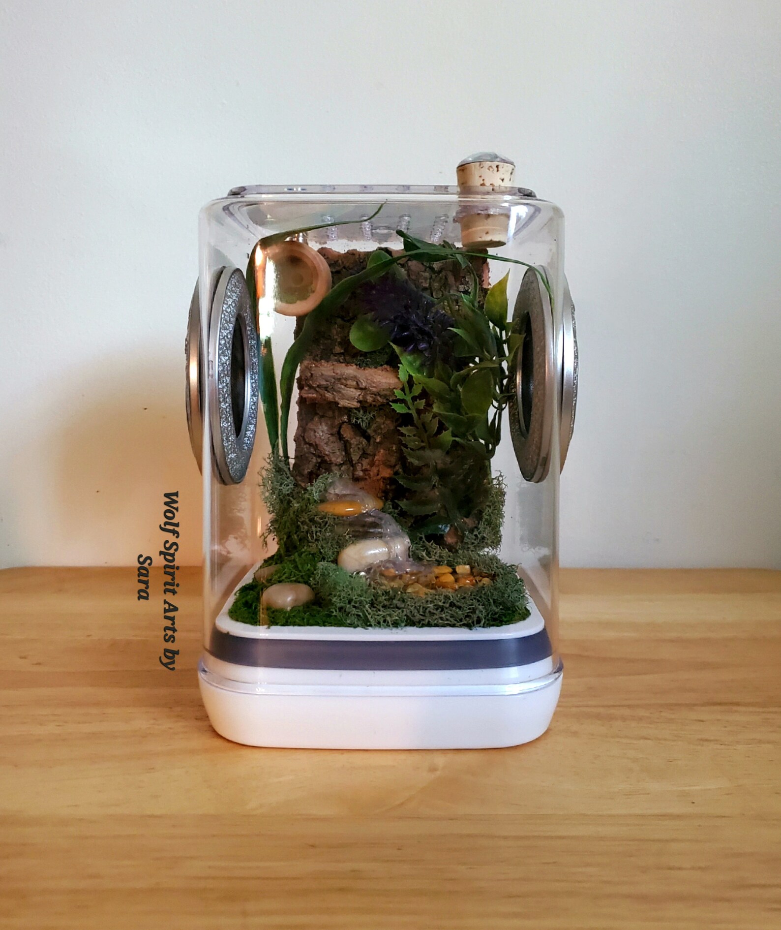 Made-to-order Medium Jumping Spider Enclosure Jumping Spider - Etsy