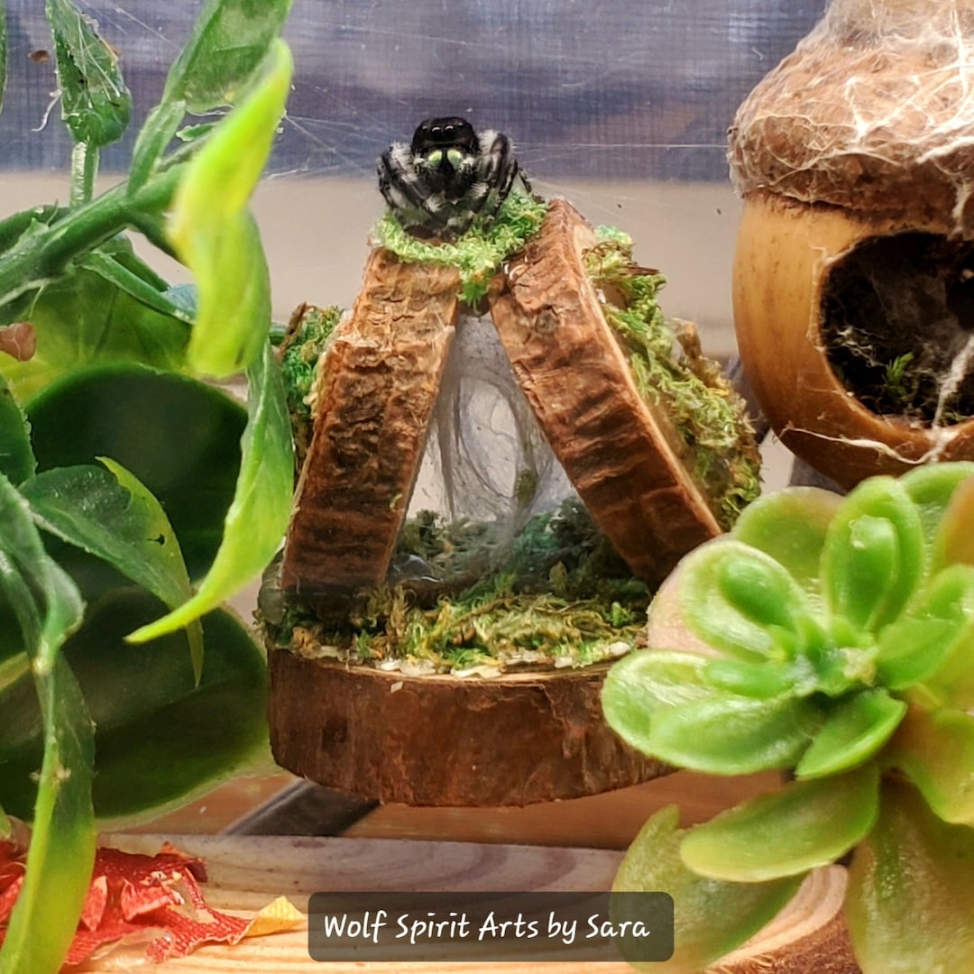 The ORIGINAL Rustic Tent Hide! Spider Hide, Jumping Spider Hide, Tent ...