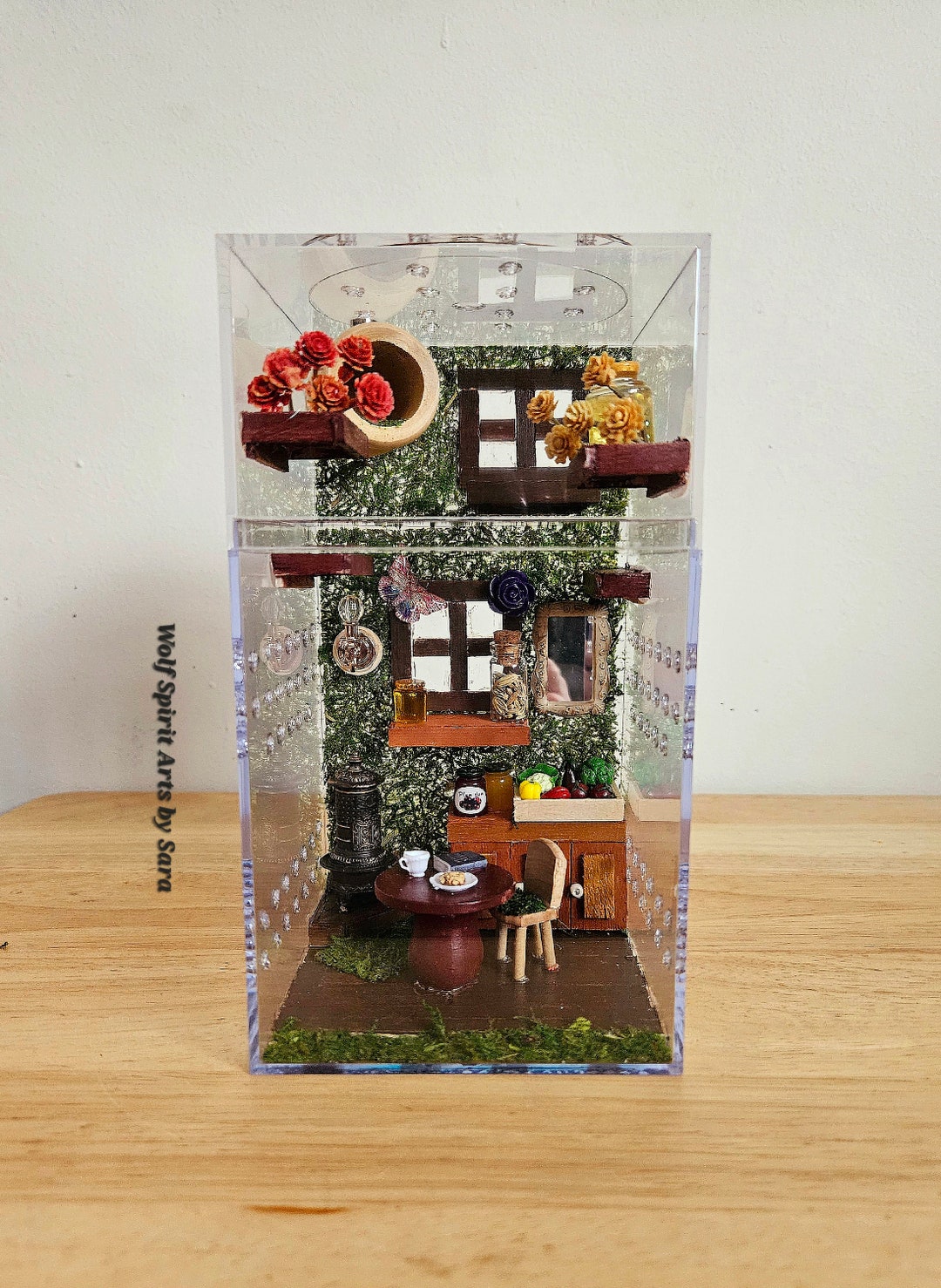 Made-to-order 4x7.25 Cozy Cottage Jumping Spider Enclosure, Jumping ...