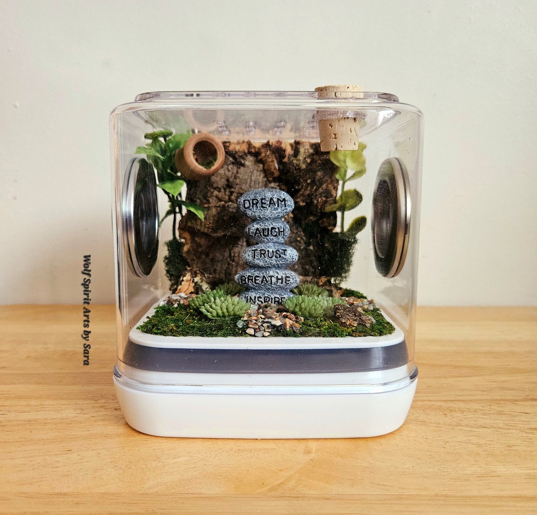 Made-to-order Sling/juvenile Jumping Spider Enclosure, Jumping Spider ...