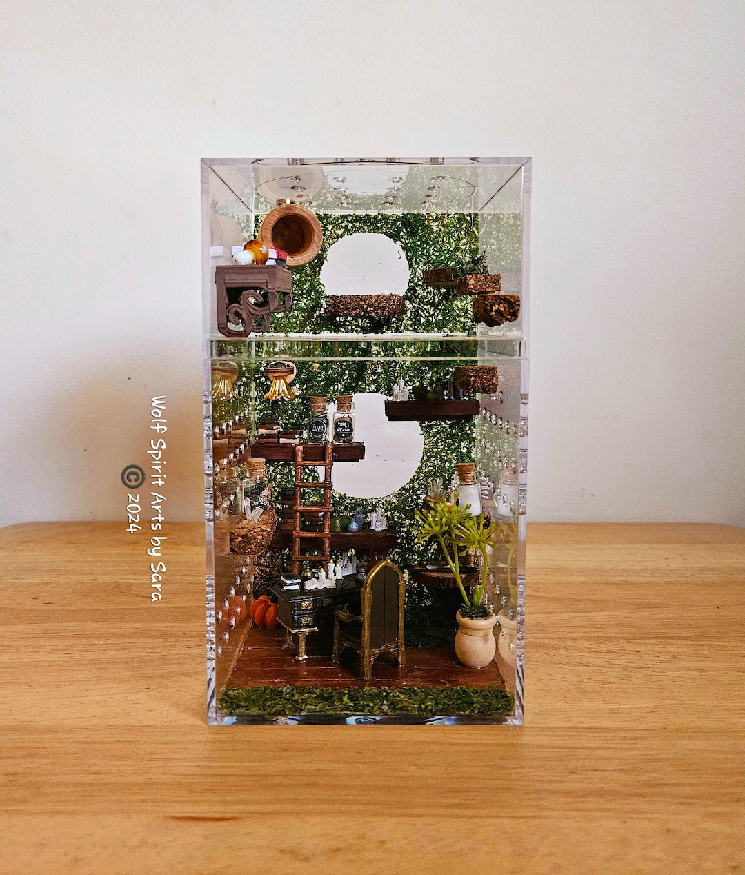 Made-to-order Wizard's Study Jumping Spider Enclosure,jumping Spider ...