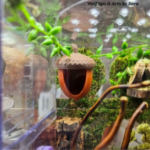 Made-to-order 4x7.25 Cozy Cottage Jumping Spider Enclosure, Jumping ...