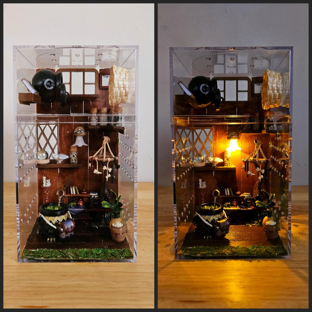 Made-to-order Witch's Cottage Jumping Spider Enclosure,jumping Spider ...