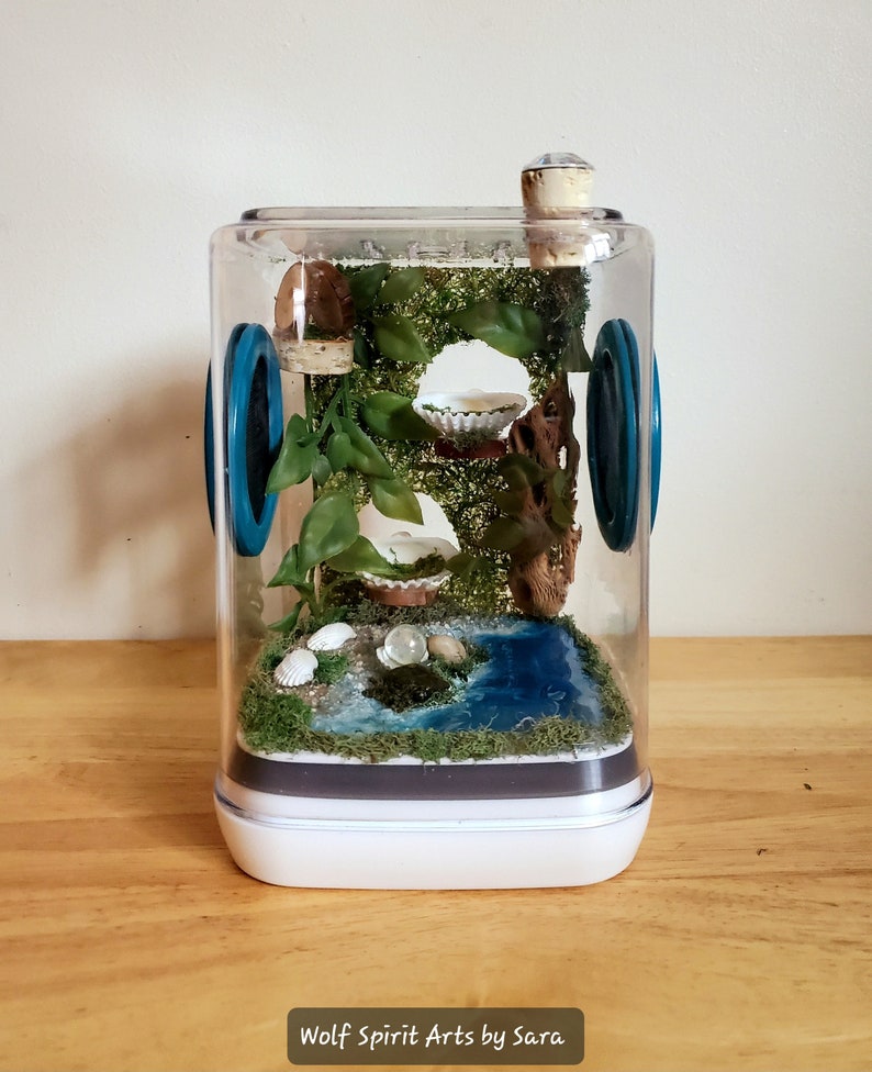 Made-to-order Medium Jumping Spider Enclosure, Jumping Spider Decor ...