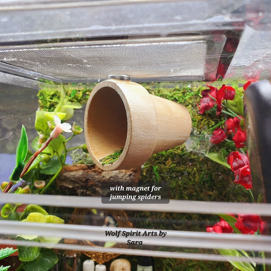 The ORIGINAL XL Flower Pot Hide, Spider Hide, Jumping Spider Hide ...