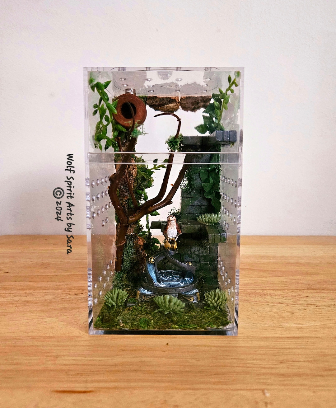 Made-to-order Elven Fountain Jumping Spider Enclosure,jumping Spider ...