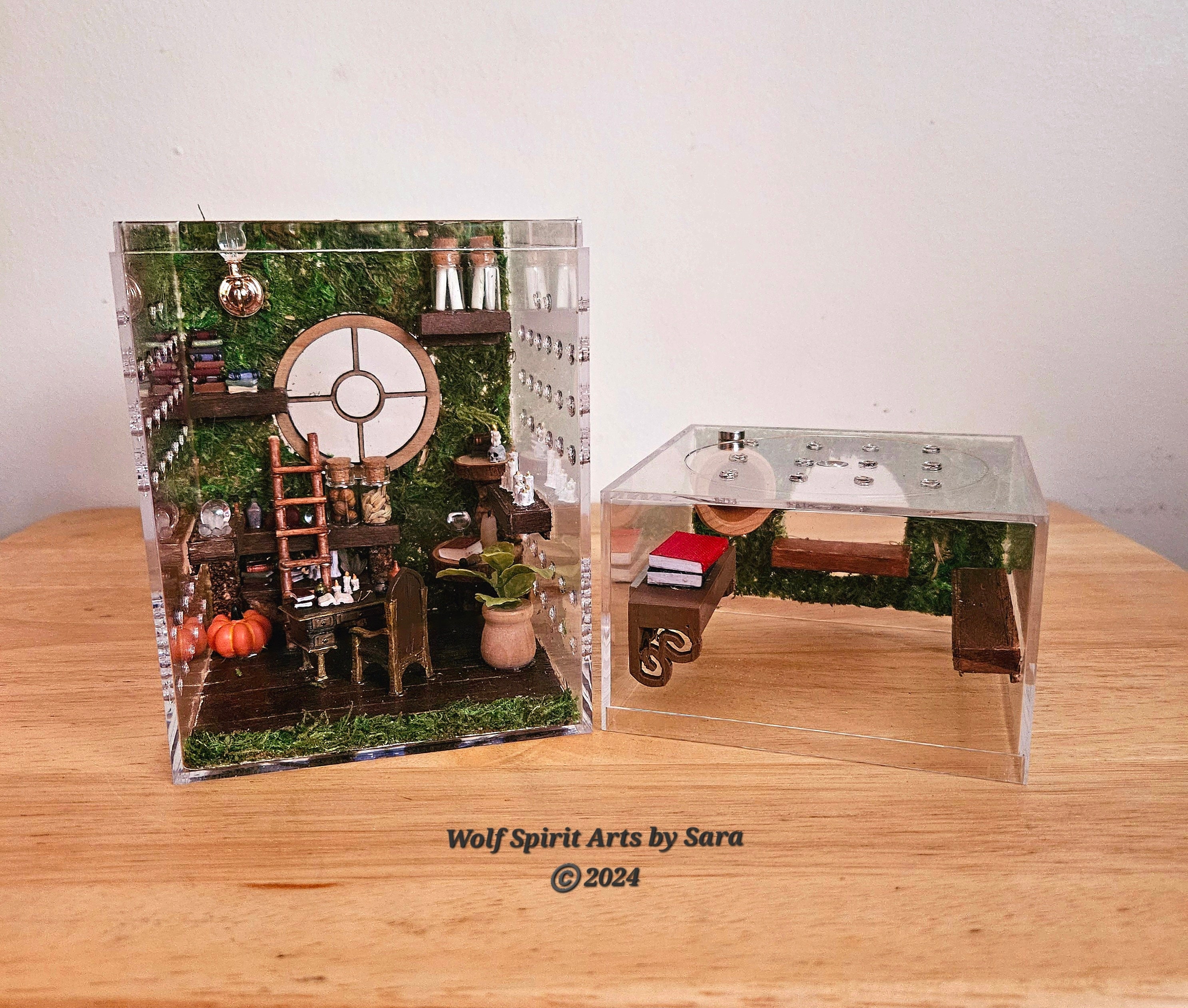 Made-to-order Wizard's Study Jumping Spider Enclosure,jumping Spider ...