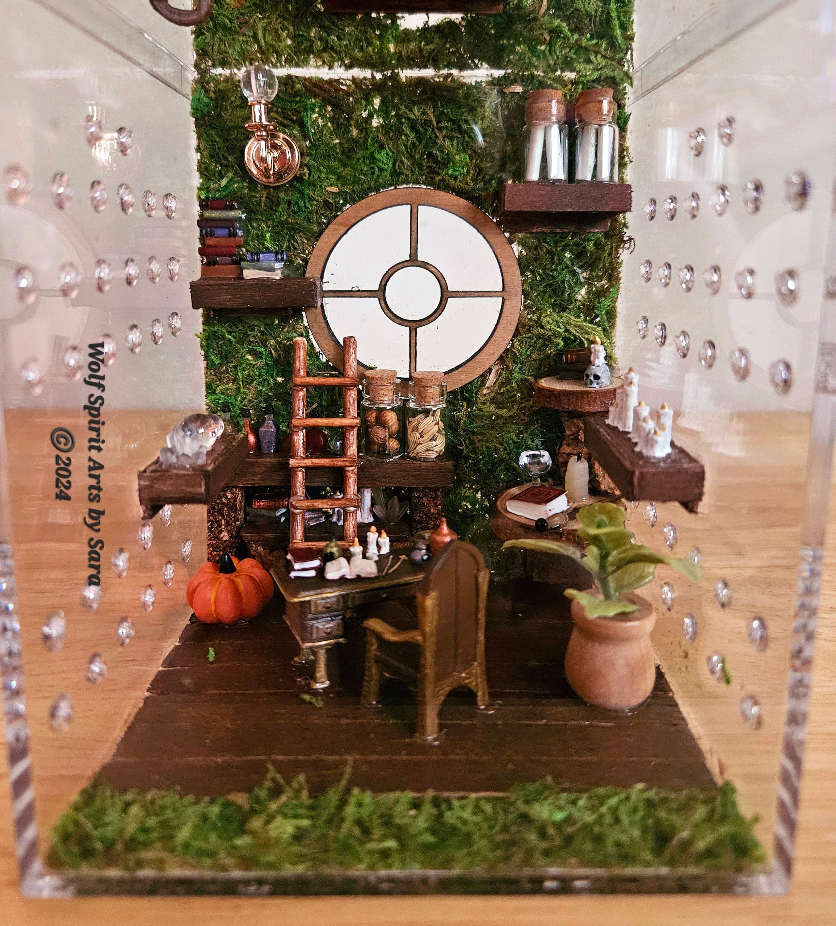 Made-to-order Wizard's Study Jumping Spider Enclosure,jumping Spider ...