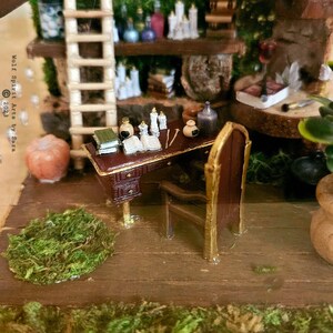 Made-to-order Wizard's Study Jumping Spider Enclosure,jumping Spider ...