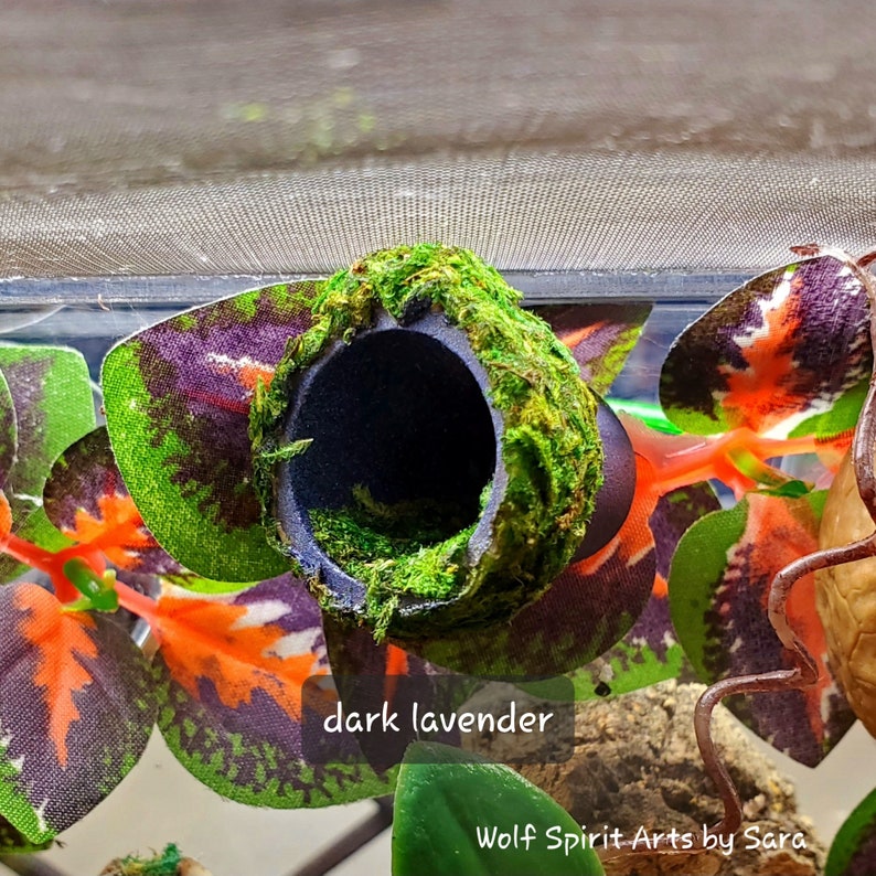 The ORIGINAL Medium Flower Pot Hide, Spider Hide, Jumping Spider Hide ...