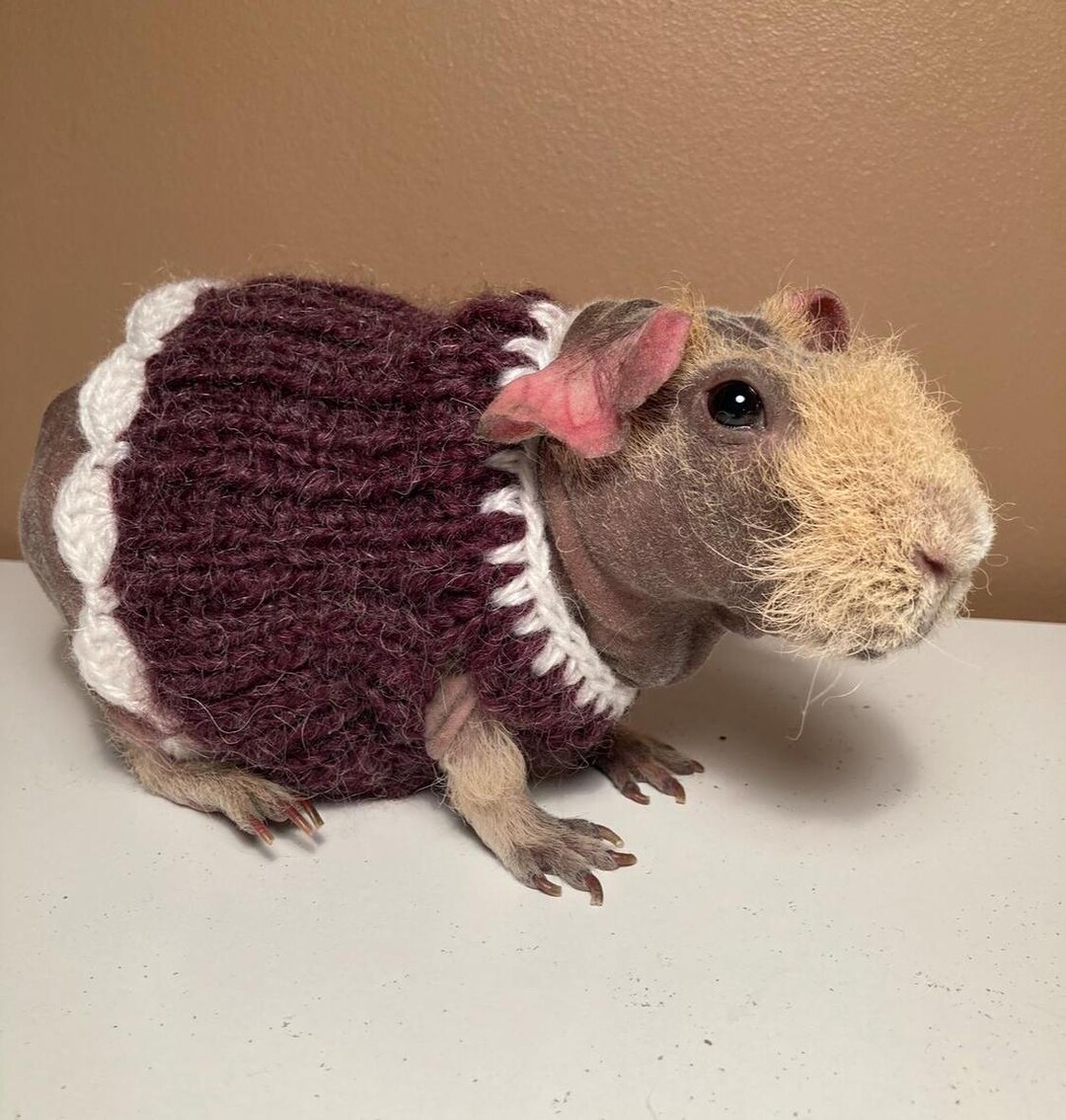 Burgundy and White Guinea Pig Dress - Etsy