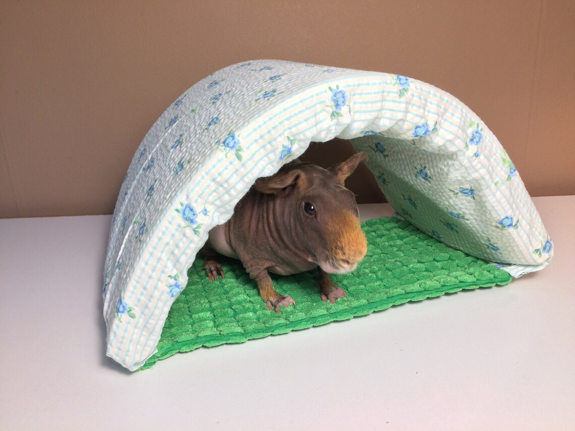 Guinea Pig House / Tunnel | Etsy