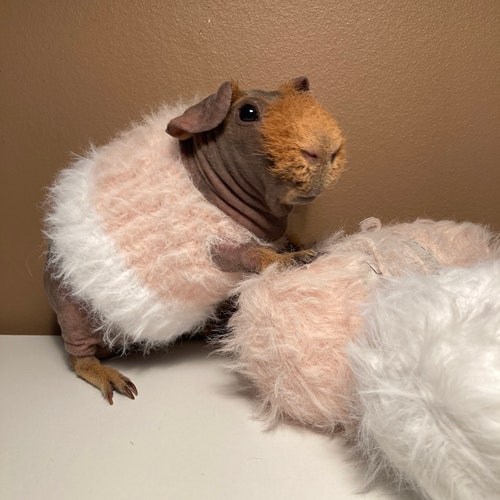 Guinea Pig Pattern Knitted Hoodie PDF Digital Download - Etsy