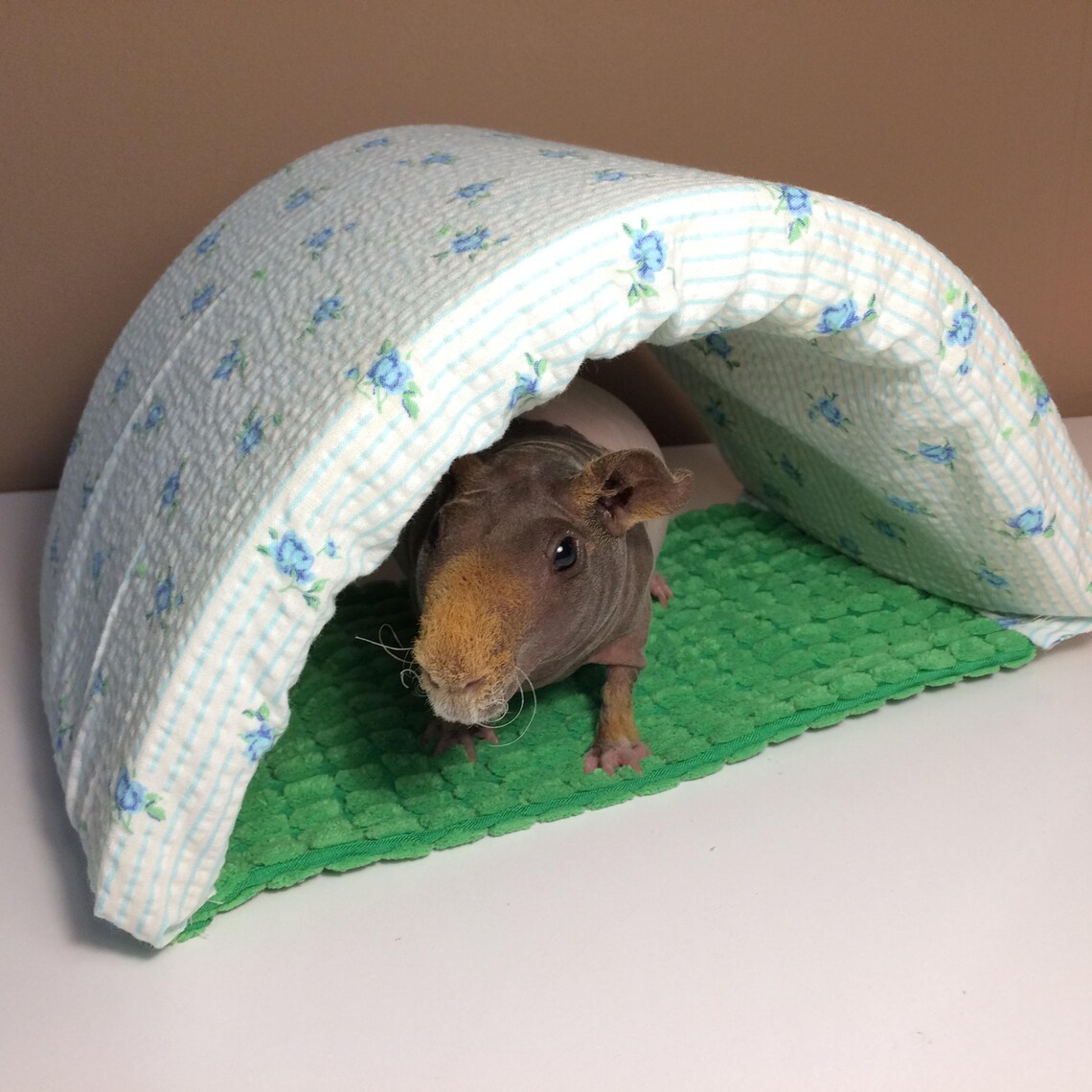 Guinea Pig House / Tunnel | Etsy