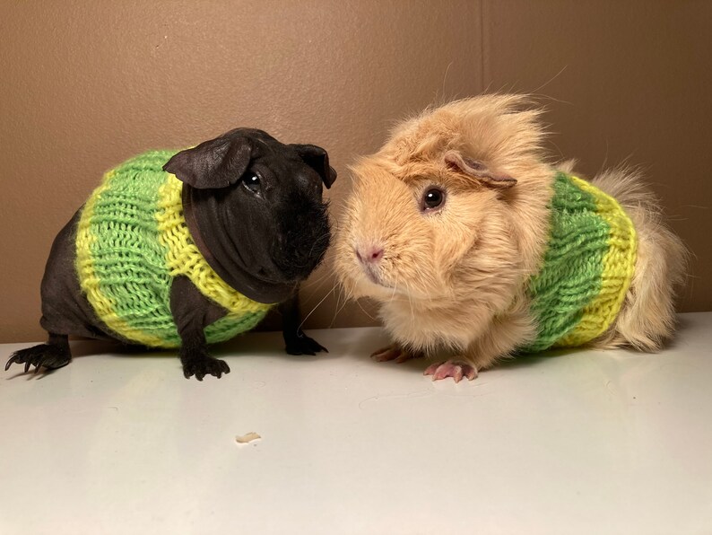 Green Guinea Pig Dress - Etsy