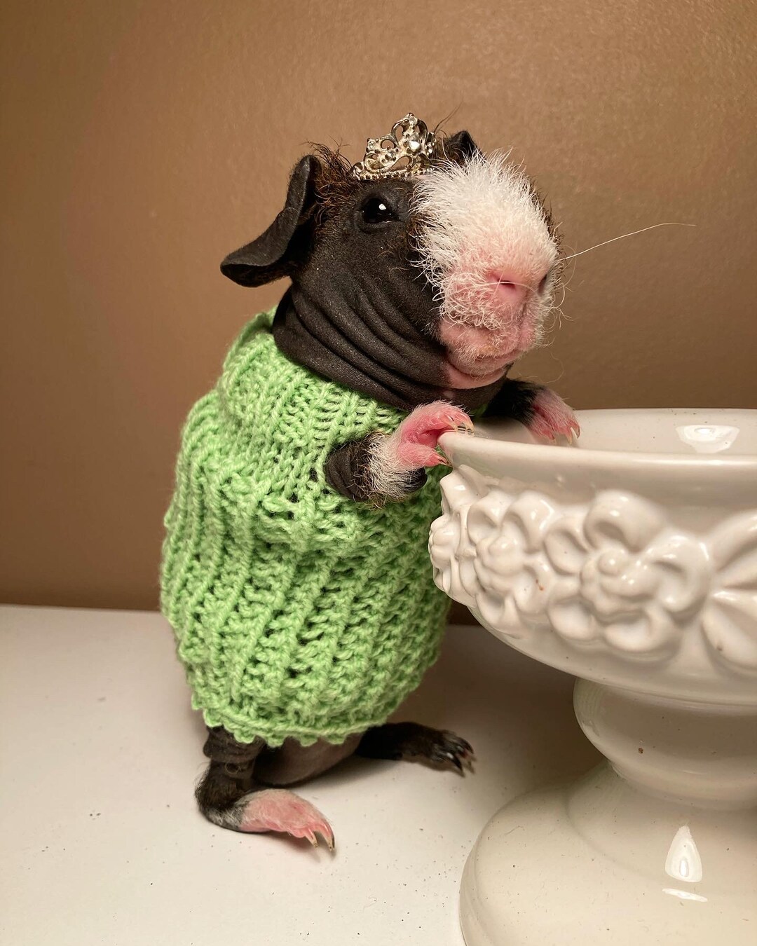 Green Guinea Pig Dress - Etsy