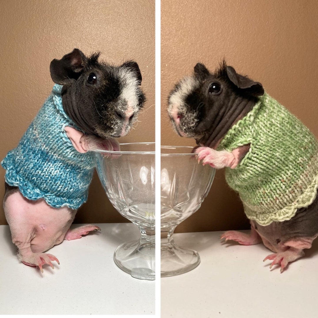 Blue and Green Guinea Pig Dress - Etsy